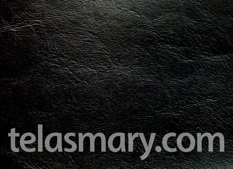 Cuerina Talampaya | Telasmary