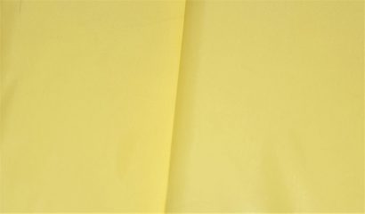 Silver Impermeable | Telasmary