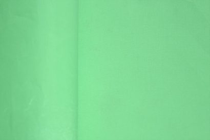 Silver Impermeable | Telasmary